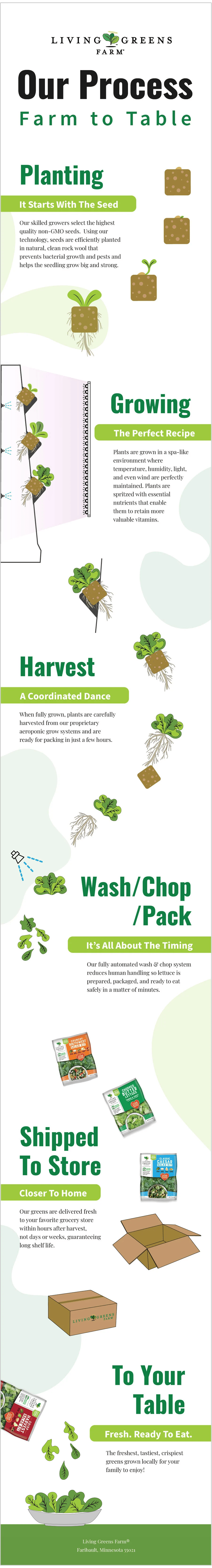 Our process farm to table [Infographic]