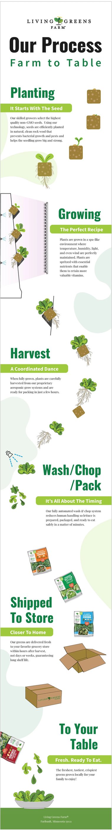 Our process farm to table [Infographic]